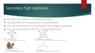 Forensic Terrorism: Detection of Explosives | PPTX