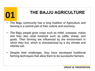 Agricultural, traditional and cultural habit of the Bajju ethic group ...