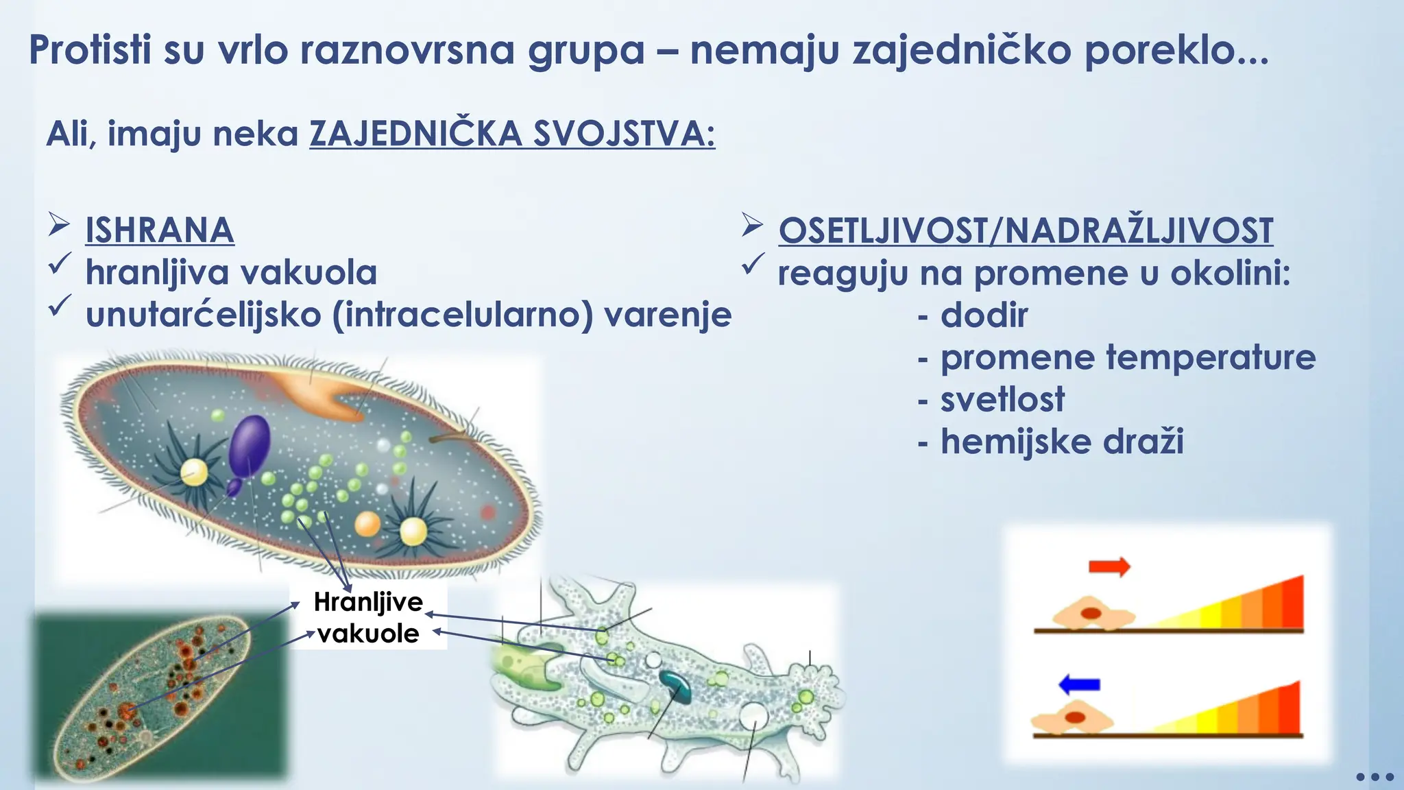 Jednoćelijski eukarioti.pptx, zajednička svojstva | PPTX
