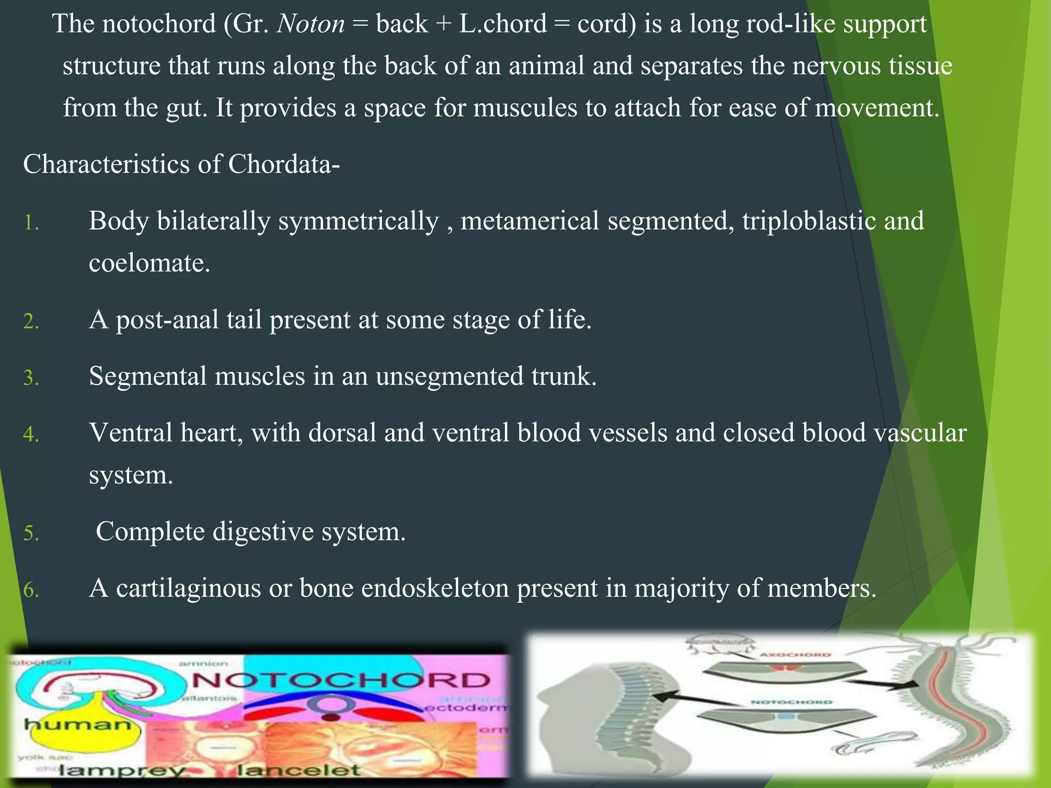 LIVING ORGANISMS AND THEIR SPECIES | PPTX