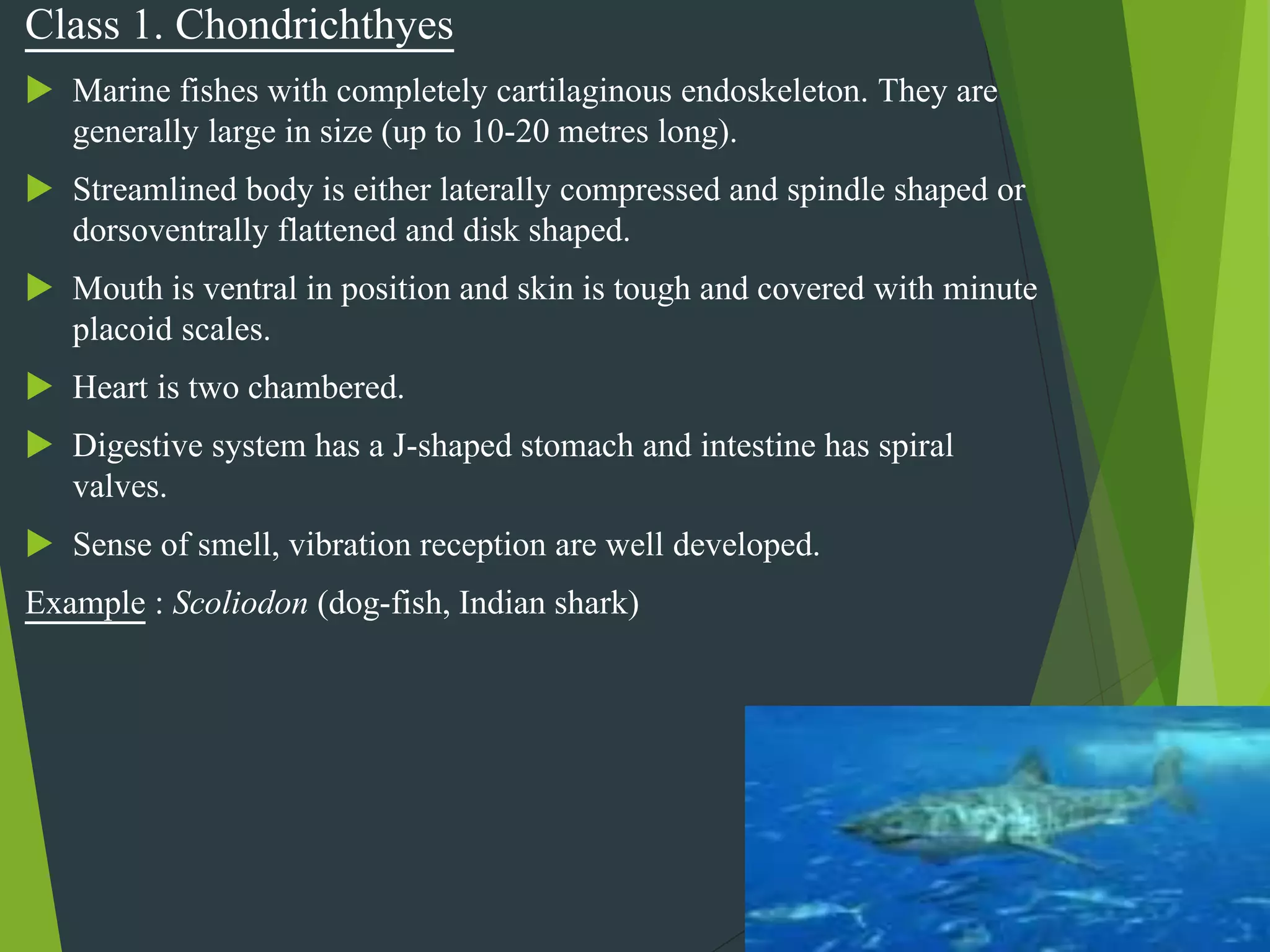 LIVING ORGANISMS AND THEIR SPECIES | PPTX