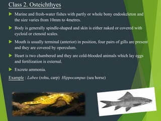 LIVING ORGANISMS AND THEIR SPECIES | PPTX