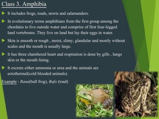 LIVING ORGANISMS AND THEIR SPECIES | PPTX