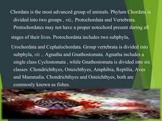 LIVING ORGANISMS AND THEIR SPECIES | PPTX