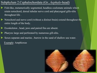 LIVING ORGANISMS AND THEIR SPECIES | PPTX