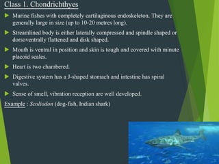 LIVING ORGANISMS AND THEIR SPECIES | PPTX