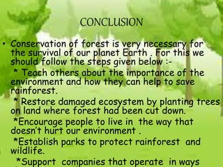 Jeet sst forest product | PPTX