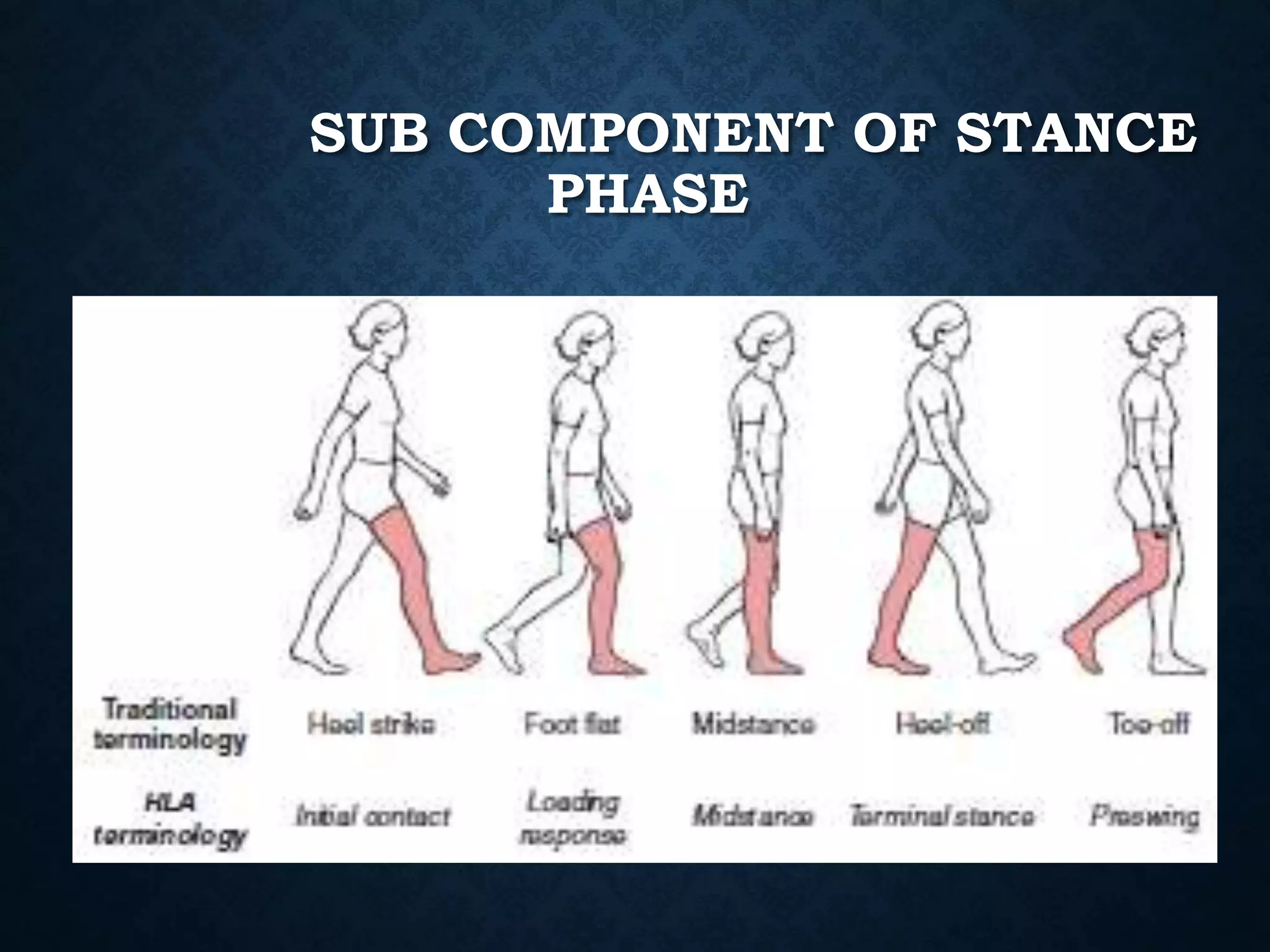GAIT (orthopaedic) | PPTX