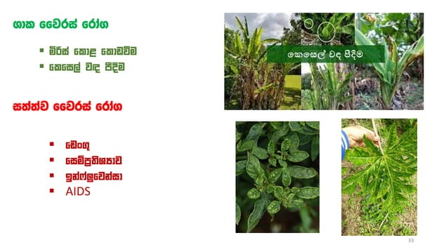 Jeevinge-Lakshanika-–-Grade-10-Science-Lesson-08-Short-Note.pdf