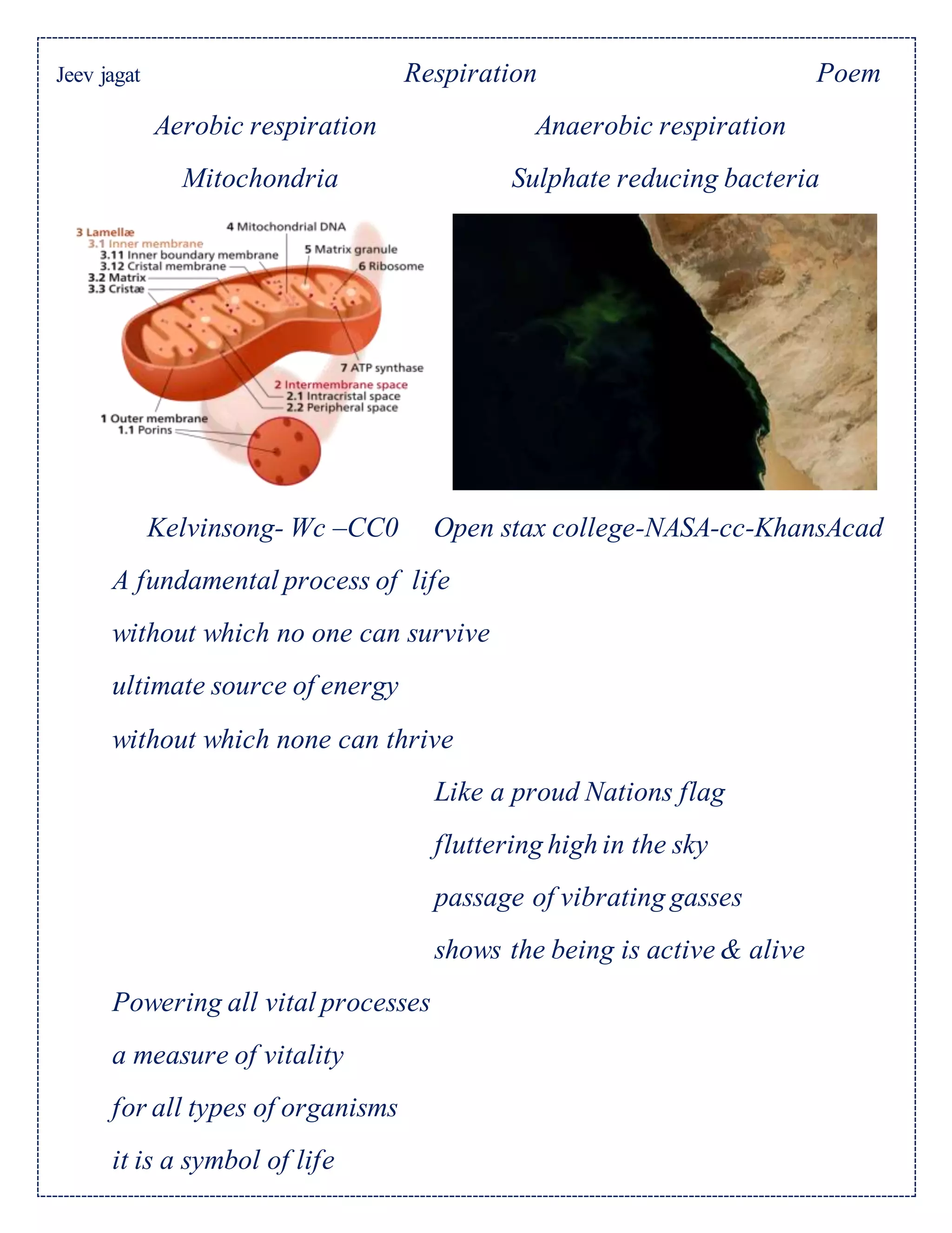 Life sustaining processes phenomenaJeev jagat ki adharshila cellular ...