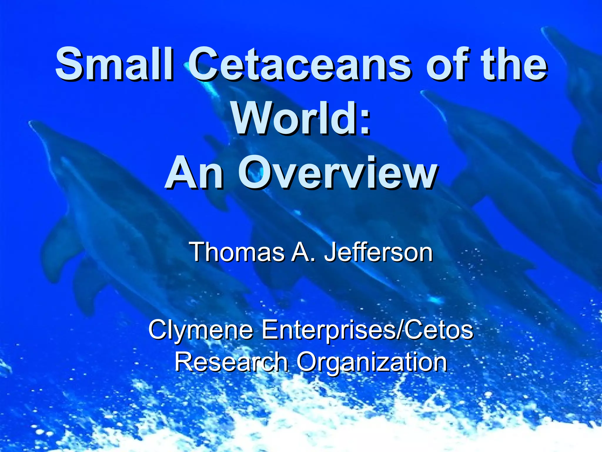 Small Cetaceans of the World - Dr. Tom Jefferson | PPT