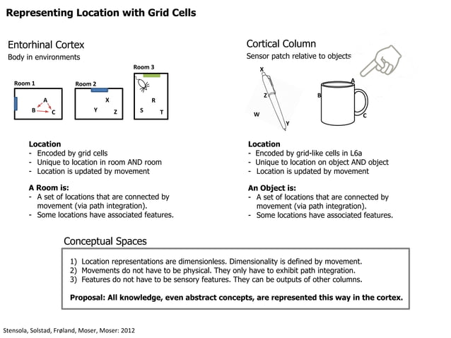 Does the neocortex use grid cell-like mechanisms to learn the structure of objects? by Jeff ...