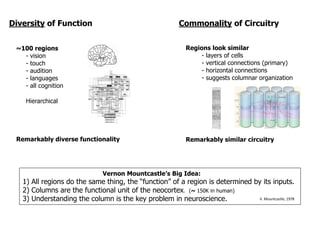 Does the neocortex use grid cell-like mechanisms to learn the structure of objects? by Jeff ...