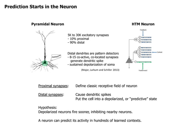 Does the neocortex use grid cell-like mechanisms to learn the structure of objects? by Jeff ...