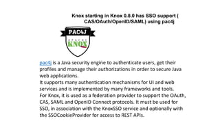 Apache Knox Gateway "Single Sign On" expands the reach of the ...