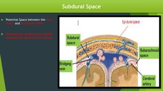 SPACES FORMED BY MENINGES AND MENINGEAL COVERINGS OF SPINAL CORD | PPT