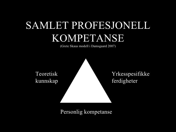 Klasseledelse og profesjonalitet