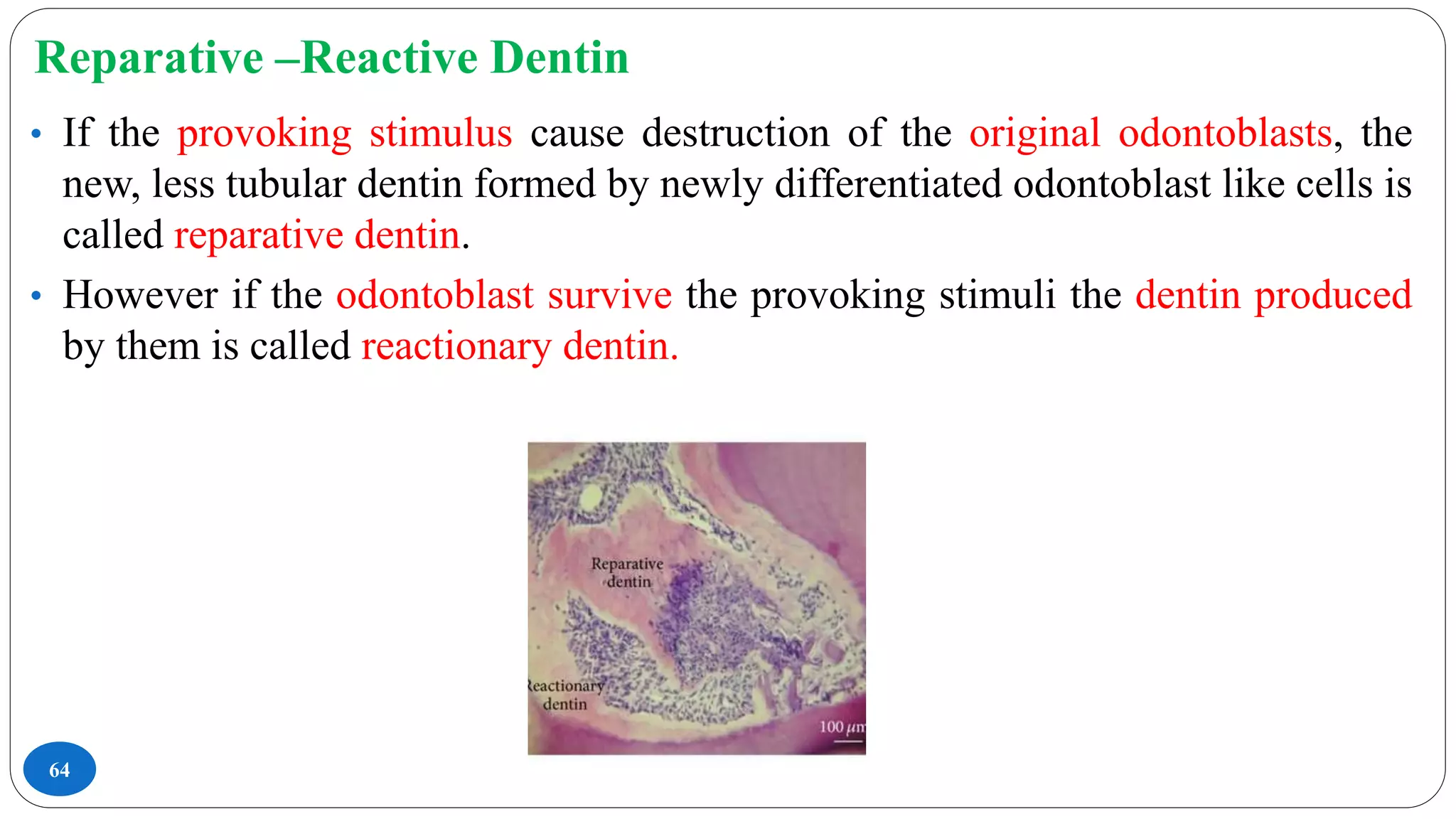 Geriatric Dentistry | PPTX