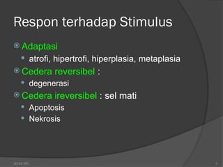 Jejas , adaptasi, dan kematian sel presentasi | PPTX