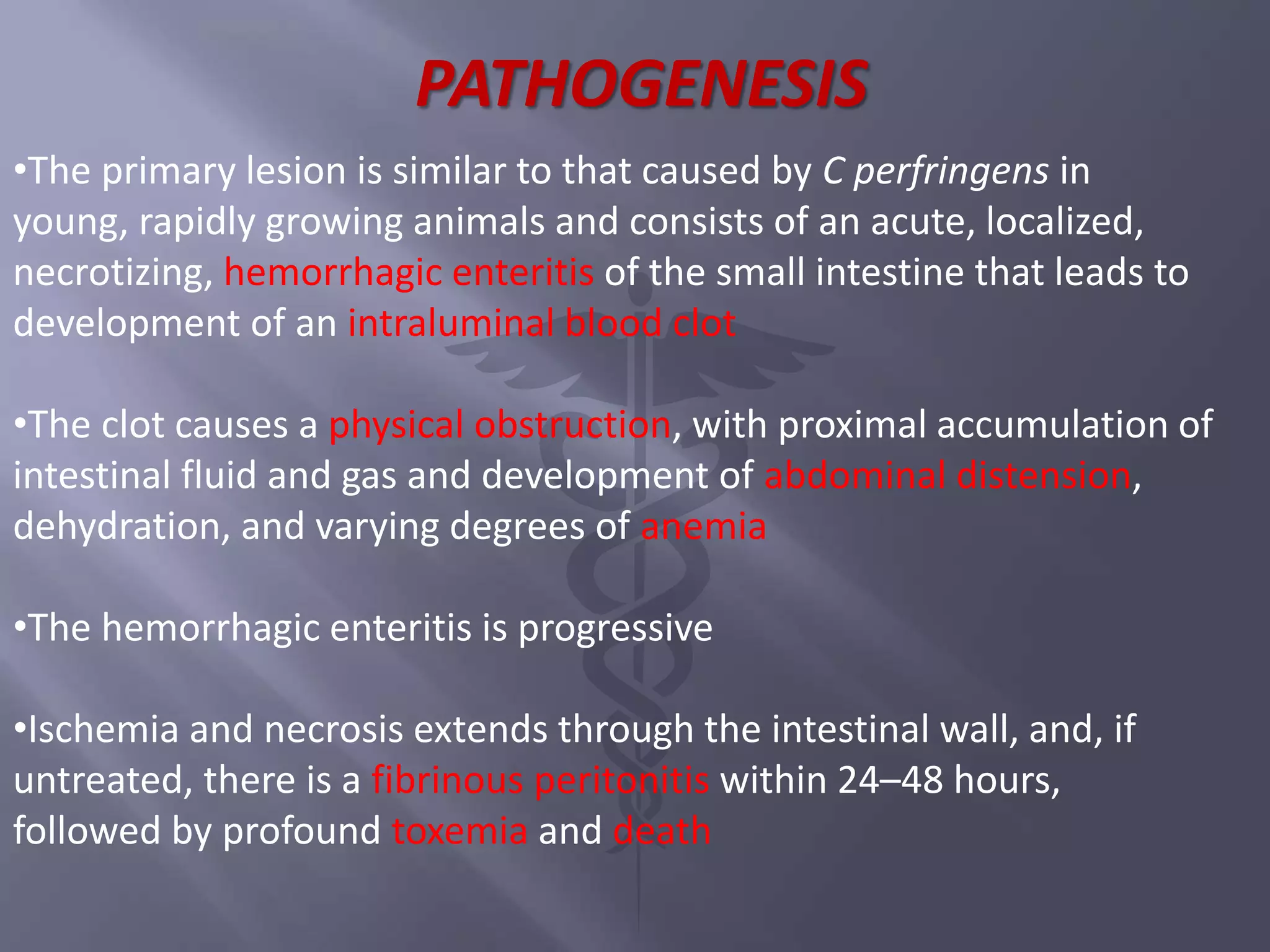 Jejunal hemorrhagic syndrome | PPTX