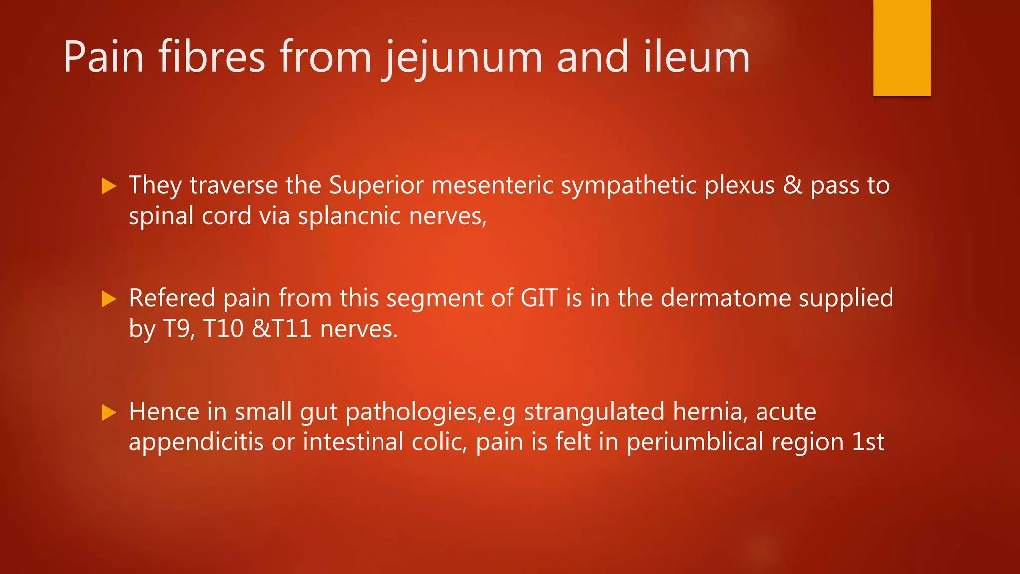 Gross Anatomy Of Jejunum and ileum | PPTX