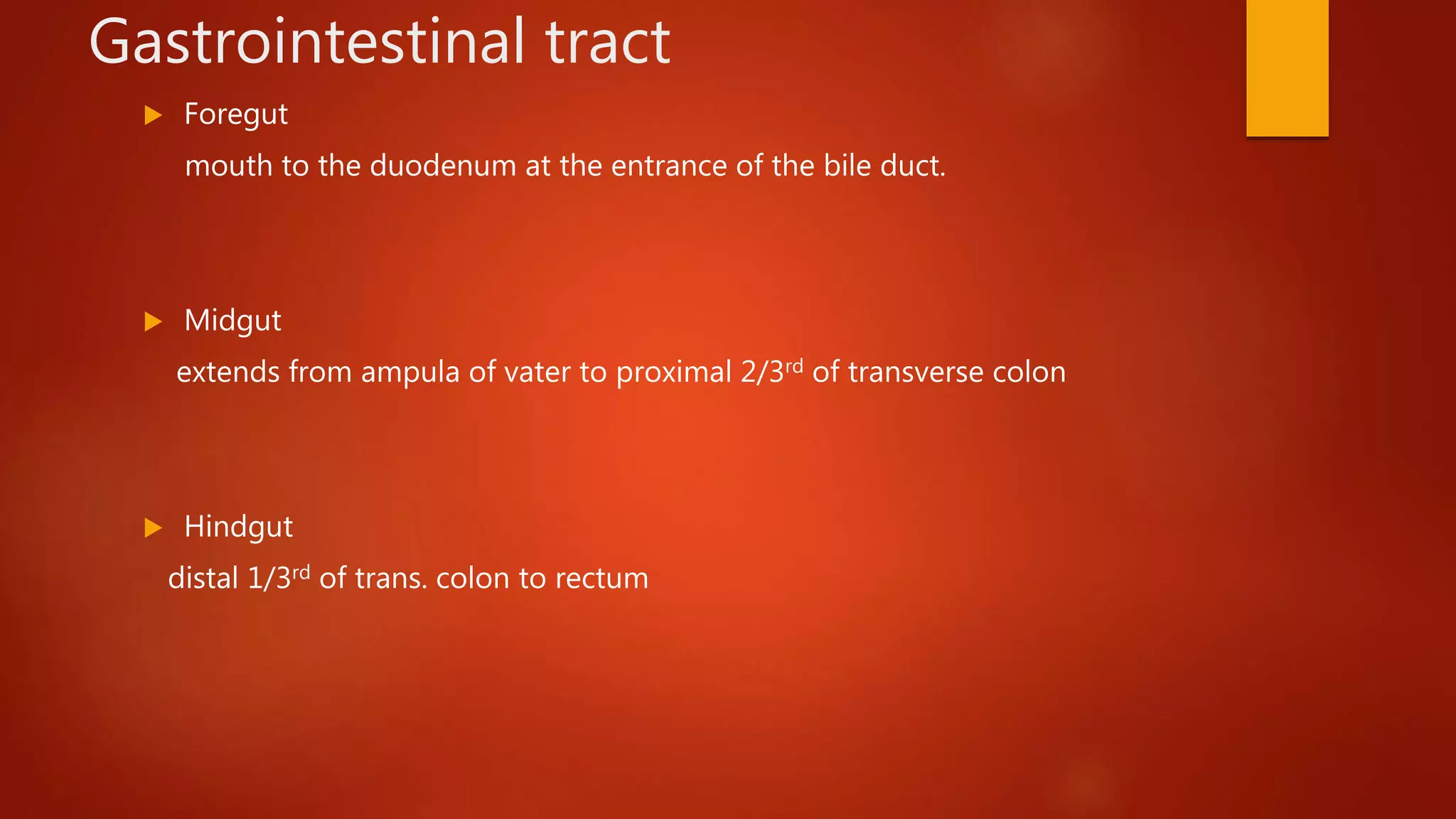 Gross Anatomy Of Jejunum and ileum | PPTX