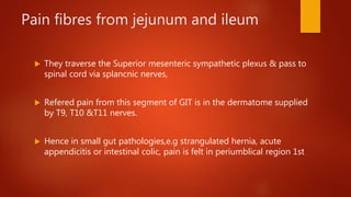 Gross Anatomy Of Jejunum and ileum | PPTX