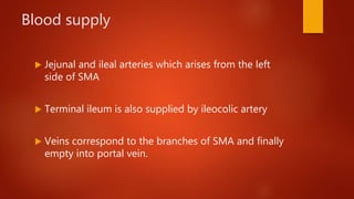 Gross Anatomy Of Jejunum and ileum | PPTX