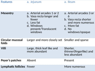 Jejunum and Ileum.pptx.................... | PPTX