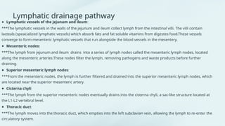 JEJUNUM_AND_ILEUM_Small_intestines_ Anatomy | PPTX