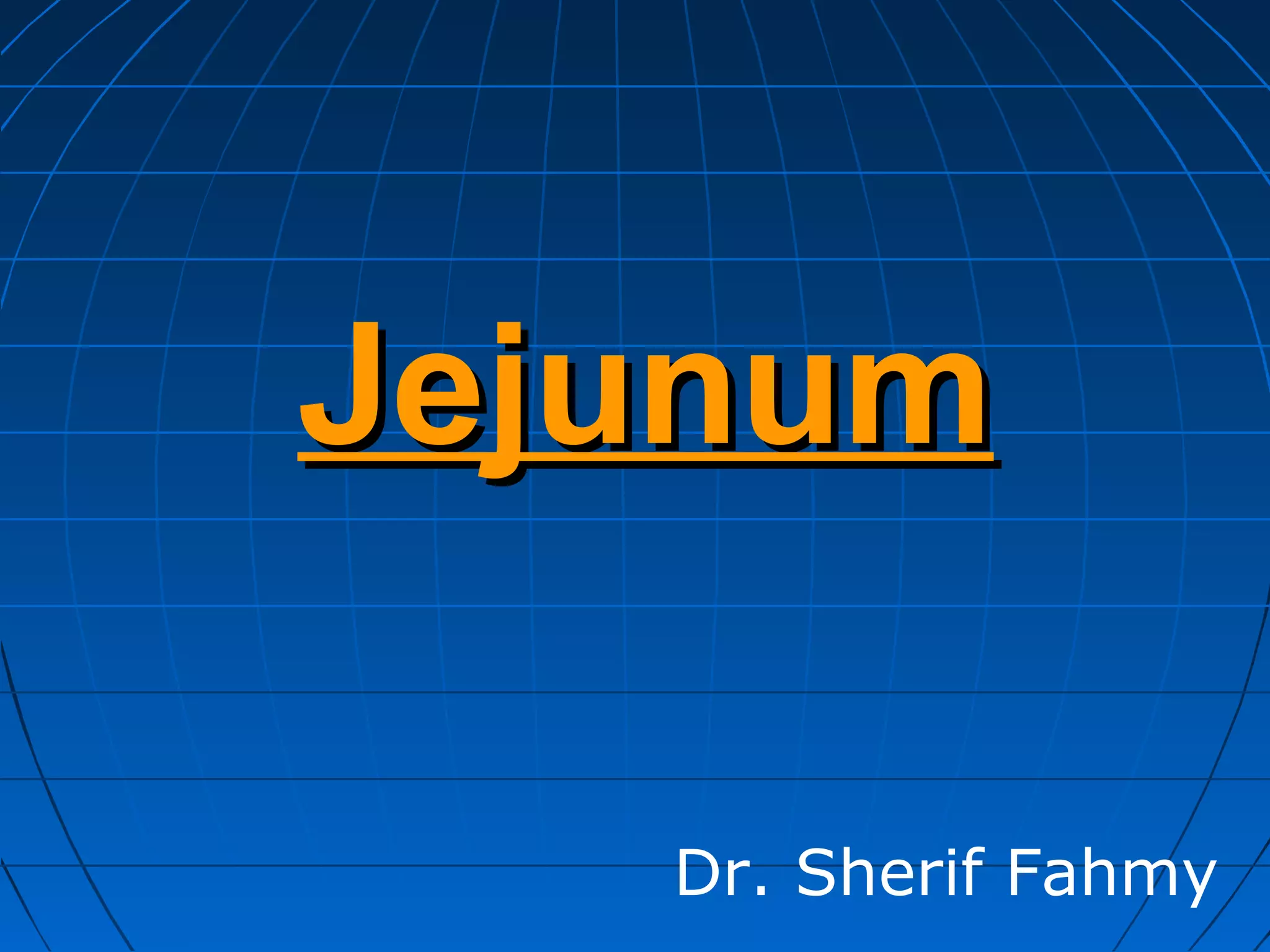 Jejunum & Ileum (Anatomy of the Abdomen) | PPS