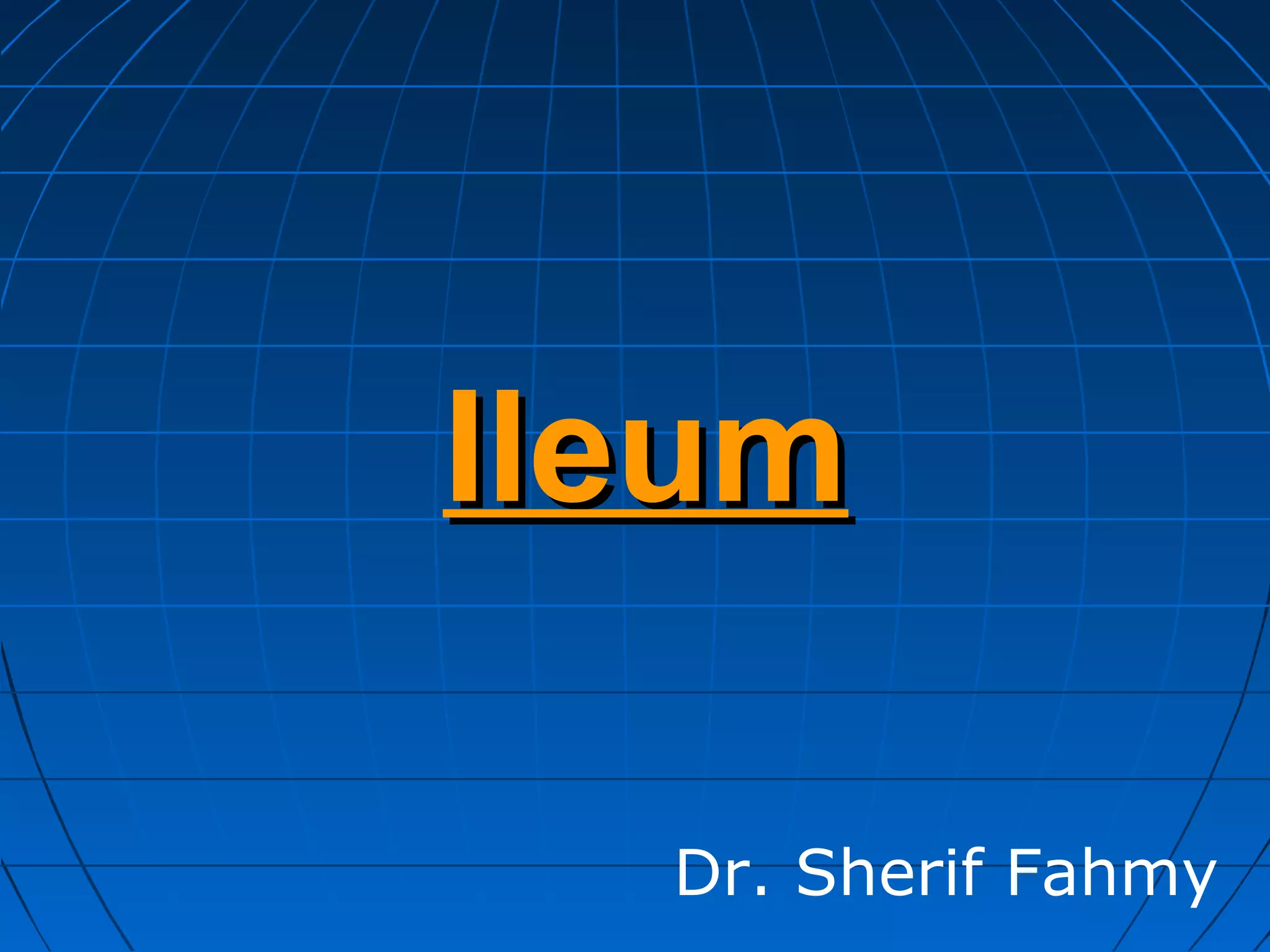 Jejunum & Ileum (Anatomy of the Abdomen) | PPS