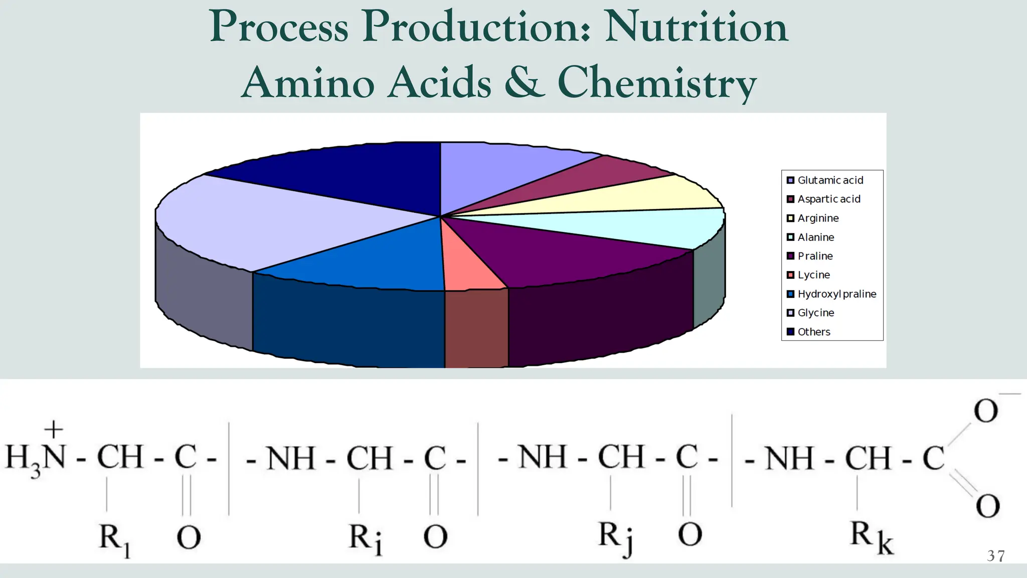 Jelly and Gelatin process description.pdf