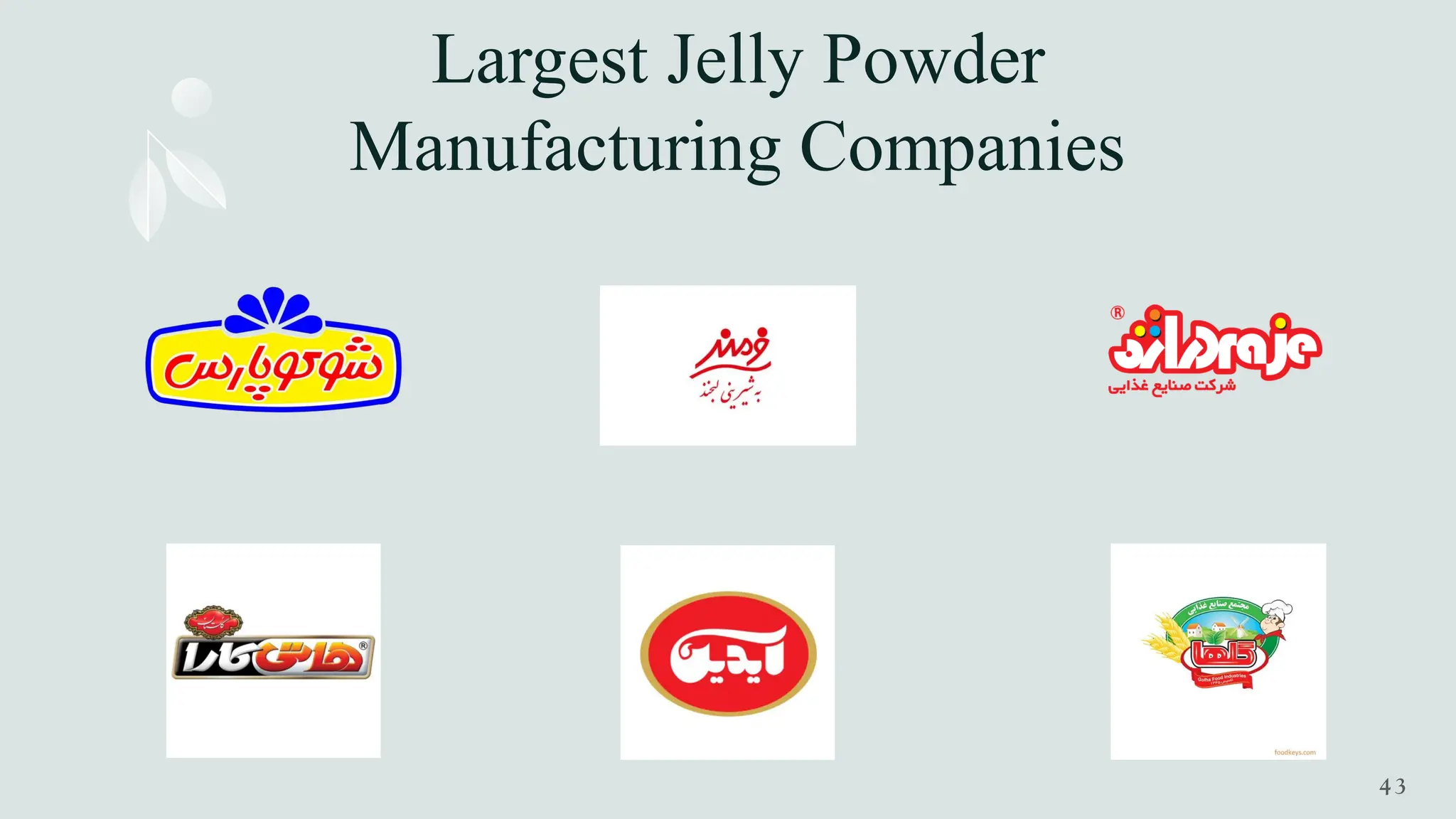 Jelly and Gelatin process description.pdf