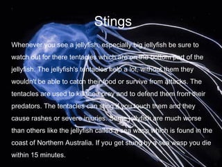 Jellyfish | PPT