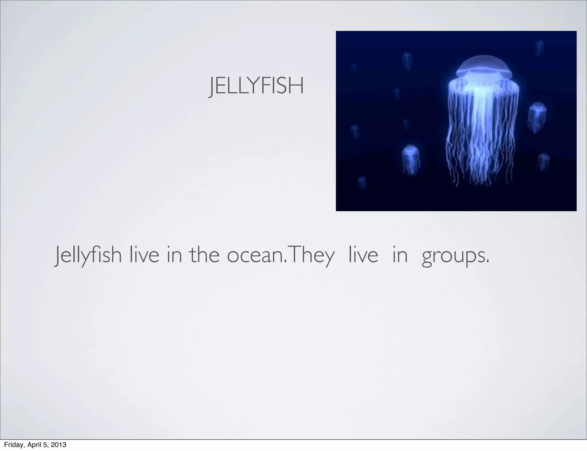 Jellyfish | PPT