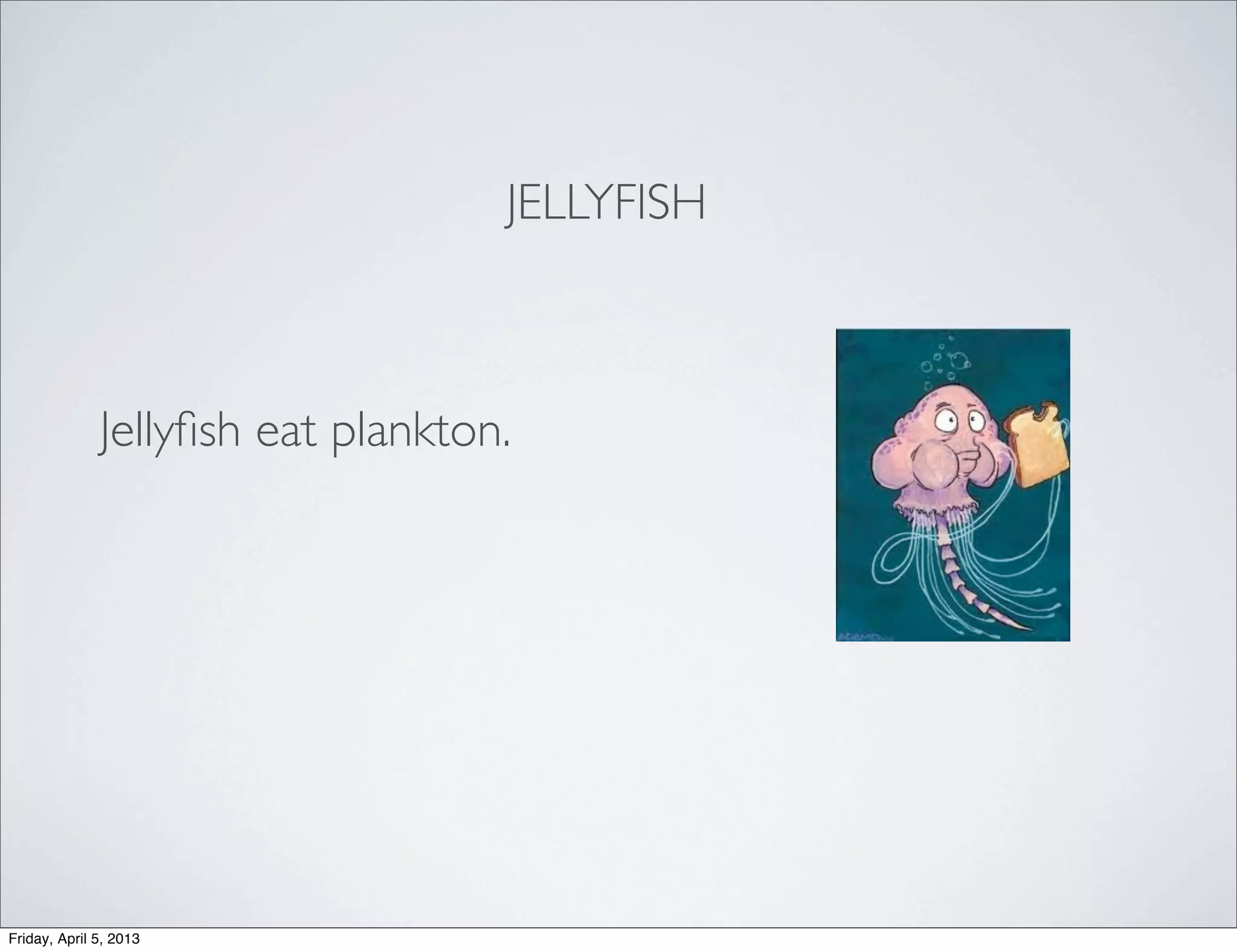 Jellyfish | PPT