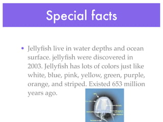 Jellyfish | PPT