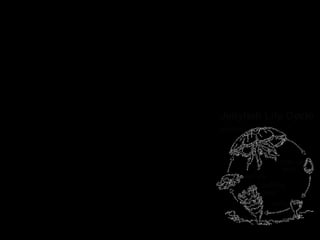 Jelly fish powerpoint | PPT