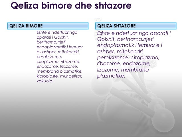 JEMI ZOTER APO SKLLEVER TE GJENEVE TONA