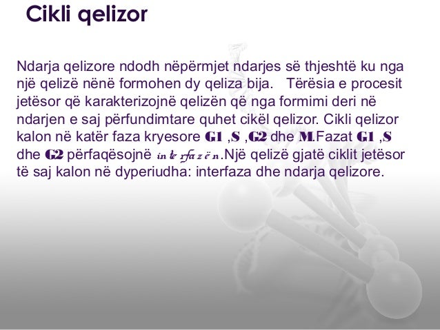 JEMI ZOTER APO SKLLEVER TE GJENEVE TONA