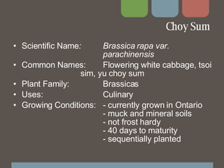 Jen Allen Ethnocultural Crop Ipm | PPT