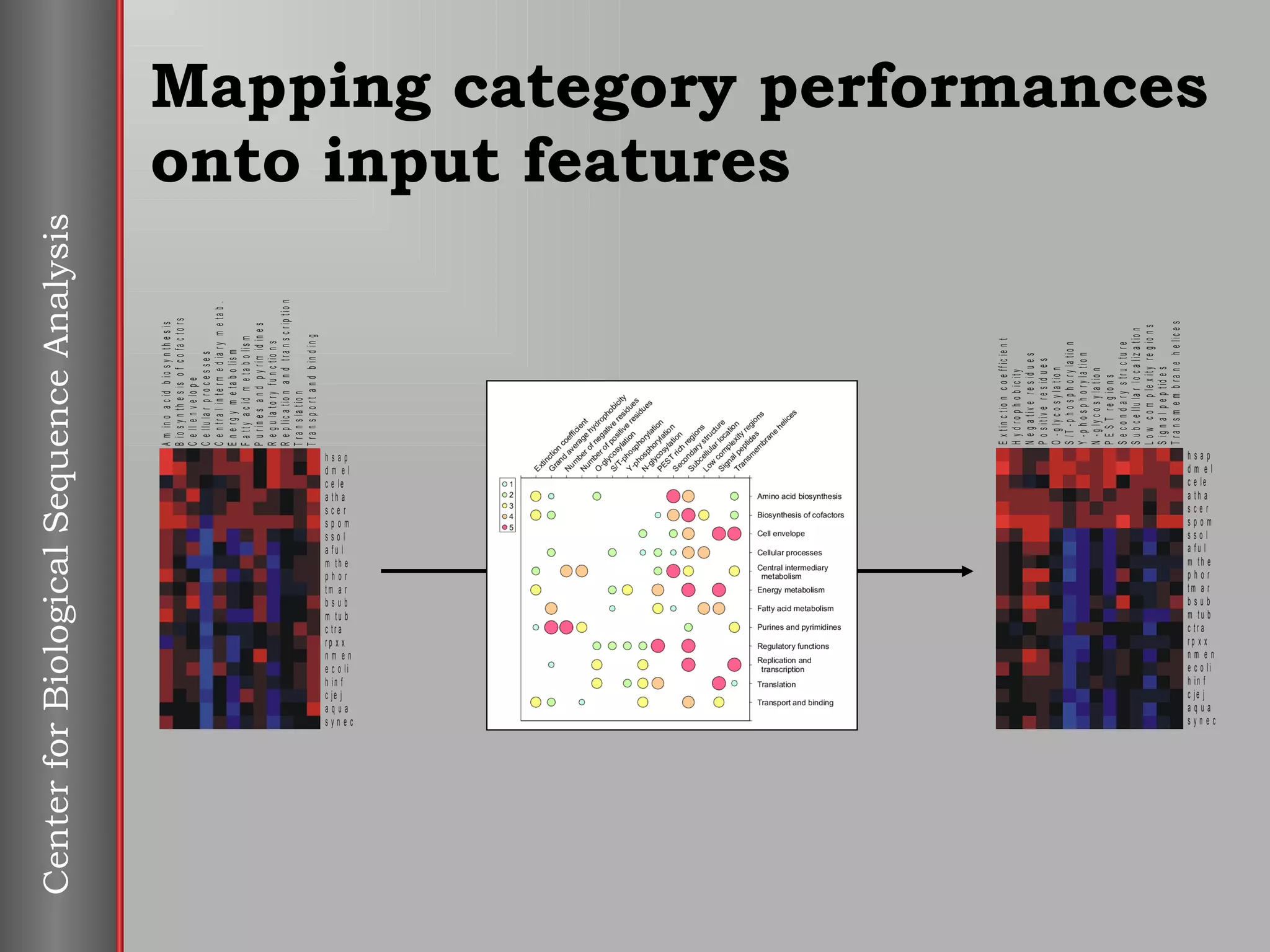 Prediction of protein function from sequence derived protein features | PPT