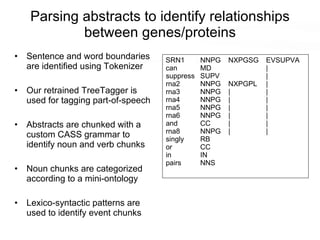 Transcriptomics and lexico-syntactic analysis | PPT