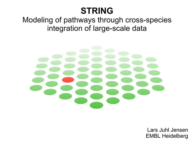 STRING - Modeling of pathways through cross-species integration of large-scale data | PPT ...