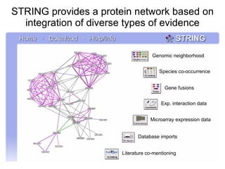 STRING - Cross-species integration of known and predicted protein ...