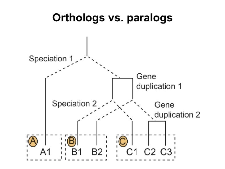 Protein function prediction