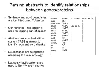 Prediction of protein function | PPT