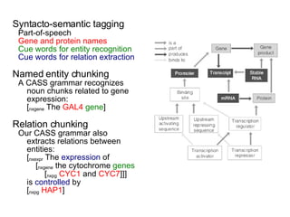 Text mining for protein and small molecule relations | PPT