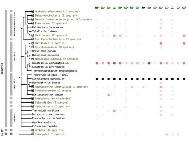 The STRING database | PPT | Databases | Computer Software and Applications